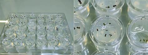 Image result for Crystallization Plate