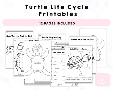 Image result for Turtle Life Cycle Coloring Sheets