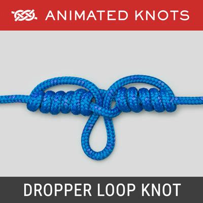 Image result for Dropper Loop Knot Instructions