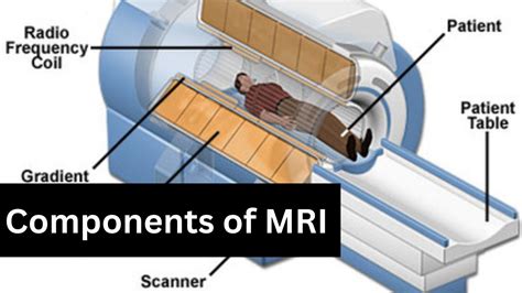 Image result for Components of MRI