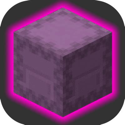 Image result for Shulkercraft Storage System