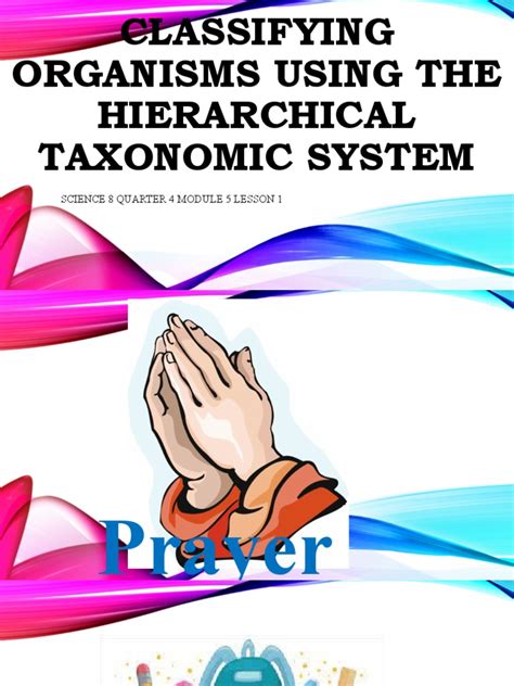 Image result for Class Classification