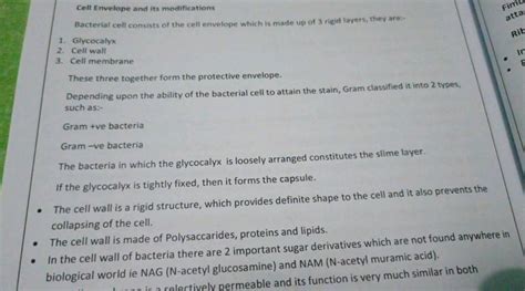 Image result for Cell Envelope and Its Modifications