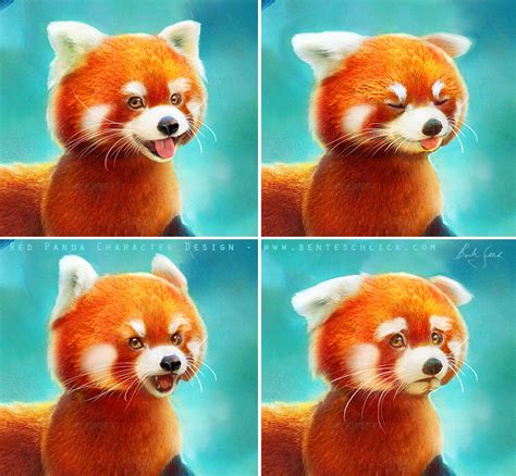 Image result for Red Panda Character Design