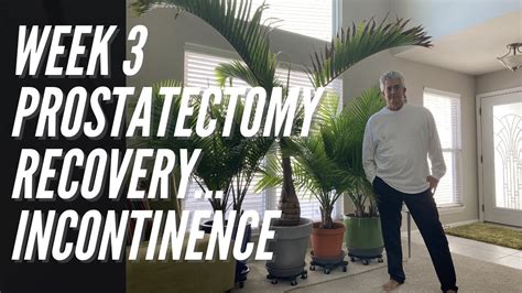 Image result for Post-Prostatectomy