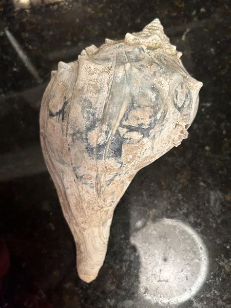 Image result for Evolution of Blue Shell