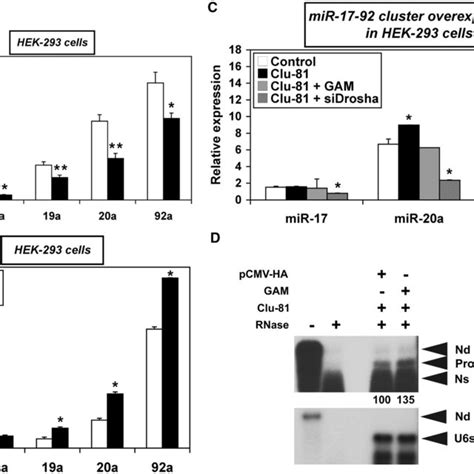 Image result for Gam Loop