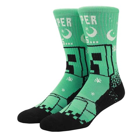 Image result for Socks Minecraft