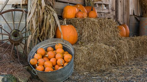 Image result for Meetup Chicago