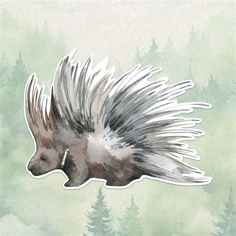 Image result for Using Porky Quills