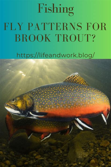 Image result for Best Trout Fly Patterns
