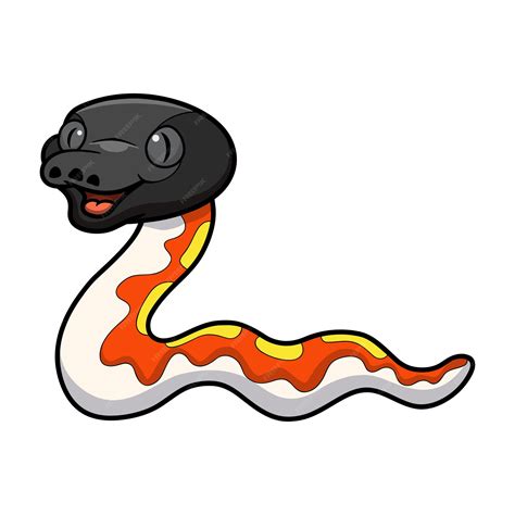 Image result for Red Blood Python