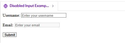 Image result for HTML Input Tag Example