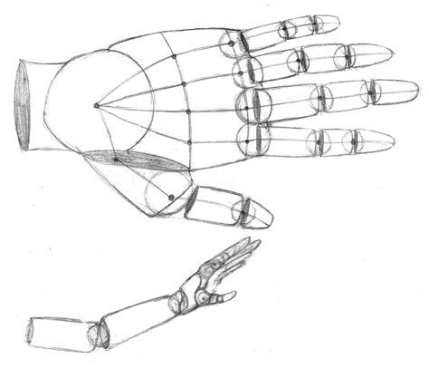 Image result for Hand Structure Drawing