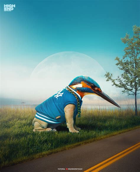 Image result for Image Manipulation