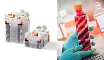 Image result for Corning Hyperstack