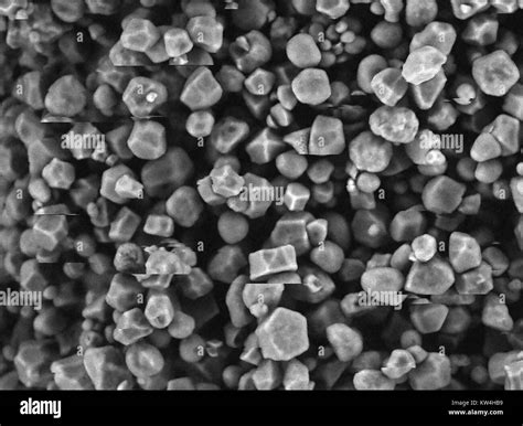 Image result for Electron Microscope Magnification