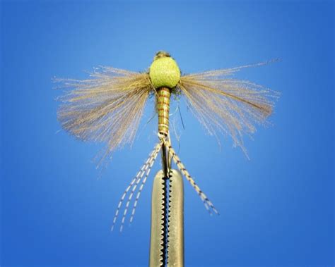 Image result for Fly Tying Using Body Quill