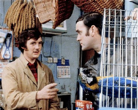 Image result for Monty Python Flying Circus John Cleese