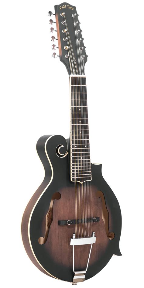 Image result for 12 String Mandolin