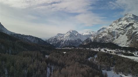 Image result for Commons Video Clips Wikimedia