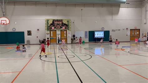 Image result for Pull Up Modification