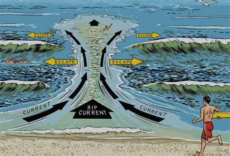 Image result for Identifying Rip Currents