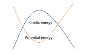 Image result for Graph of SHM