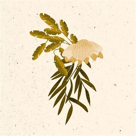 Image result for Affinity Designer Flower