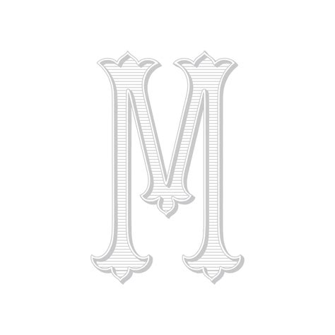 Image result for Monogram Fancy Script Letter M