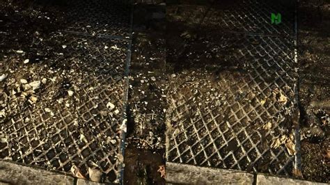 Image result for RDR2 Best Graphics Mod