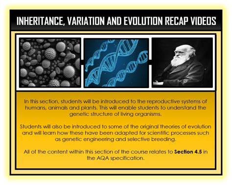 Image result for Variation Science