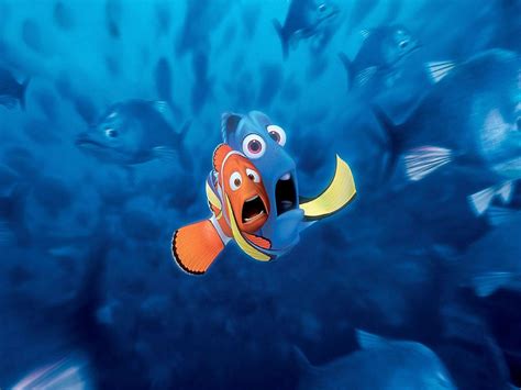 Image result for Finding Nemo Scared Fish