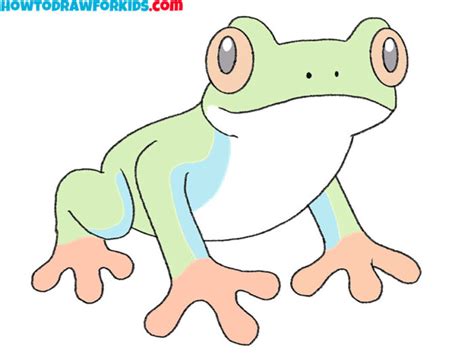 Image result for How to Draw a Tree Frog