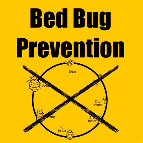 Bed Bug Prevention - Four Seasons Pest Solutions