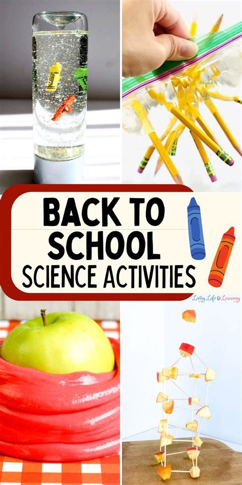 Image result for Grade School Science Activity
