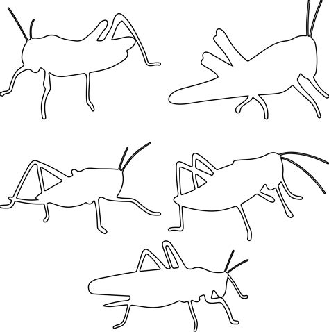 Image result for Cockroach Line Art