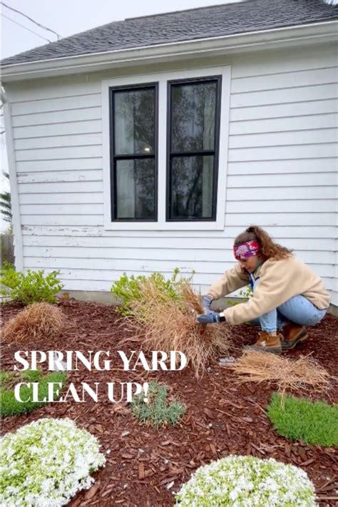 Image result for Spring Yard Clean Up Pruning