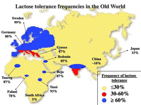 Image result for Lactose Intolerance and Evolution