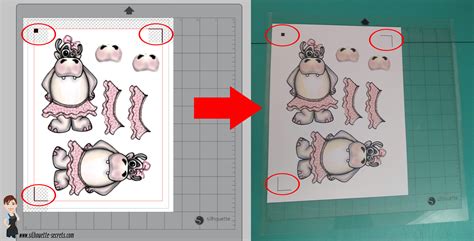 Image result for Cameo Pro Problems