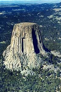 Image result for Devils Tower Tree Stump