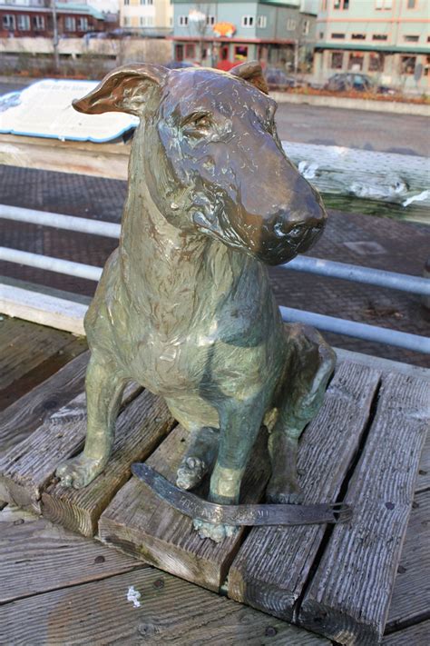 Image result for Patsy Ann