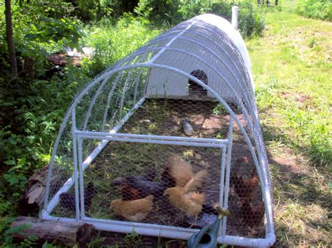 Image result for PVC Pipe Chicken Run