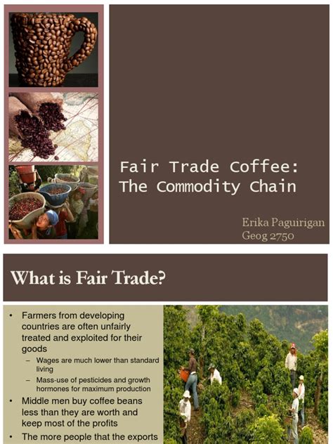 Fair Trade Coffee Commodity Chain | PDF | Fair Trade | Retail