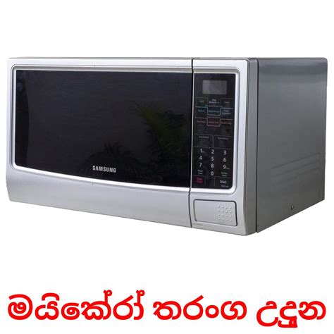 Image result for Computer Hardware in Sinhala Language