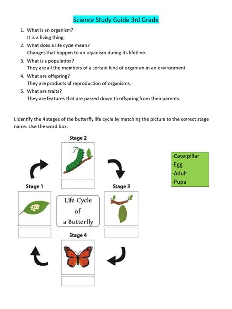 Image result for Science Study Guide 3rd Grade