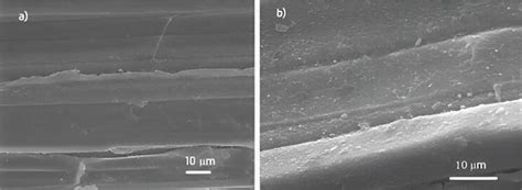 Image result for Coating TiO2 onto Celluolose Sponge