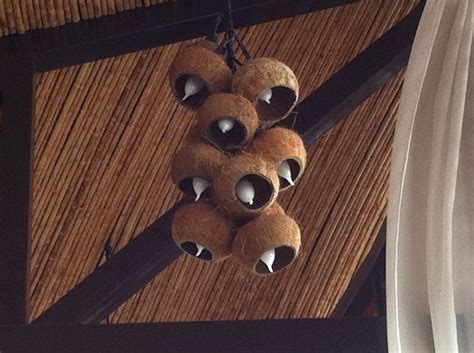 Image result for Using Coconut Shell Based Craftworks