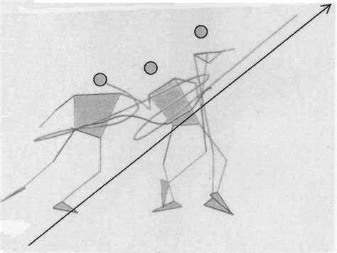 Image result for Discus Rotation