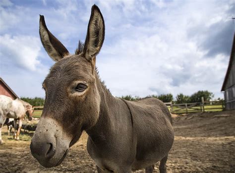 Image result for Topaz ReMask Filter Tutorial